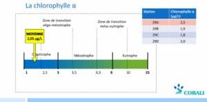 Tout savoir sur l’eutrophisation | Association de protection du Lac-des ...