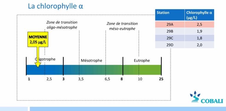Tout savoir sur l’eutrophisation | Association de protection du Lac-des ...