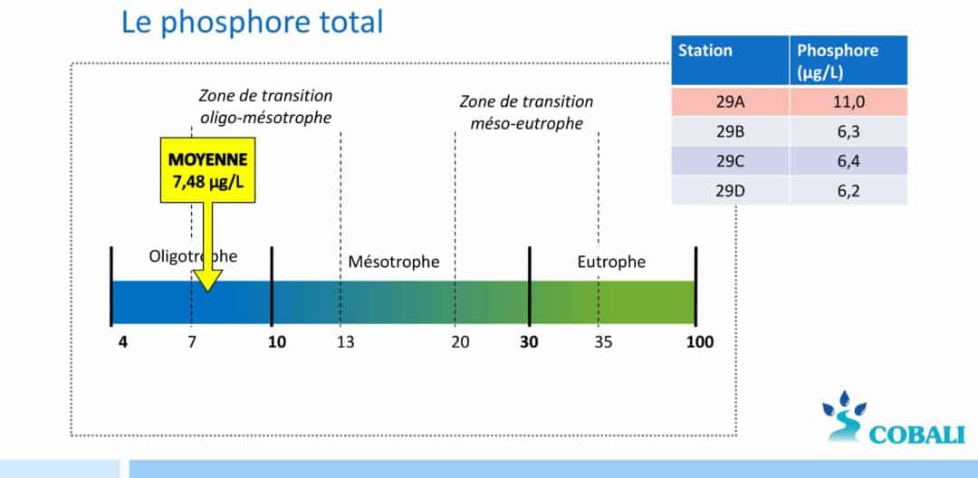 Tout savoir sur l’eutrophisation | Association de protection du Lac-des ...