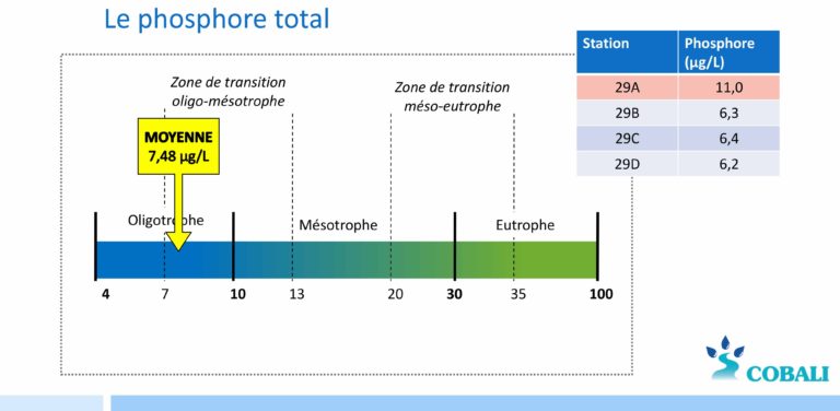 Tout savoir sur l’eutrophisation | Association de protection du Lac-des ...